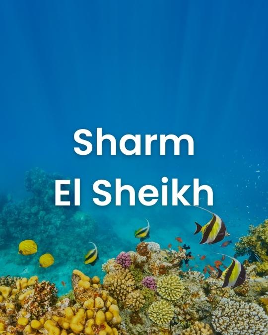 The BEST Things to Do in Sharm El Sheikh in 2025 – Shouf