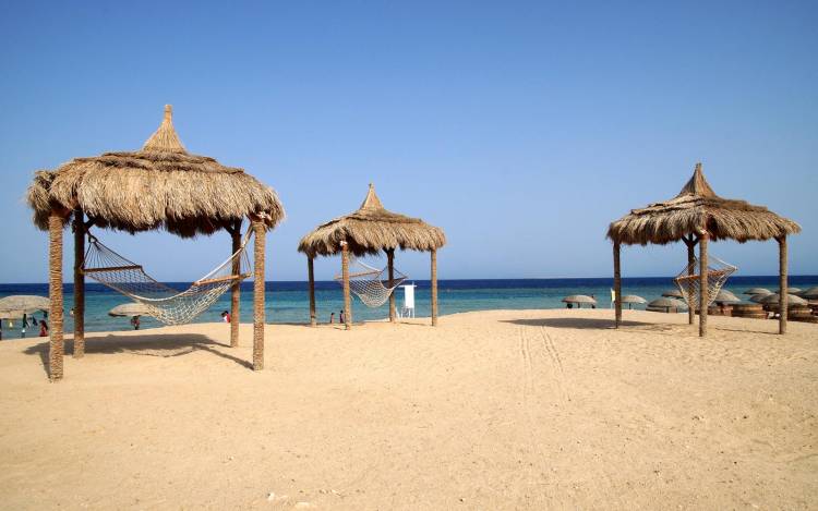 The BEST Marsa Alam Nature & Adventure 2025 – Shouf