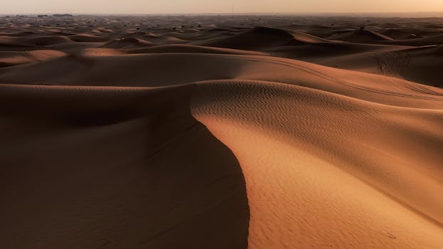 The BEST Al Madam Desert Shared Tours in 2026 – Shouf