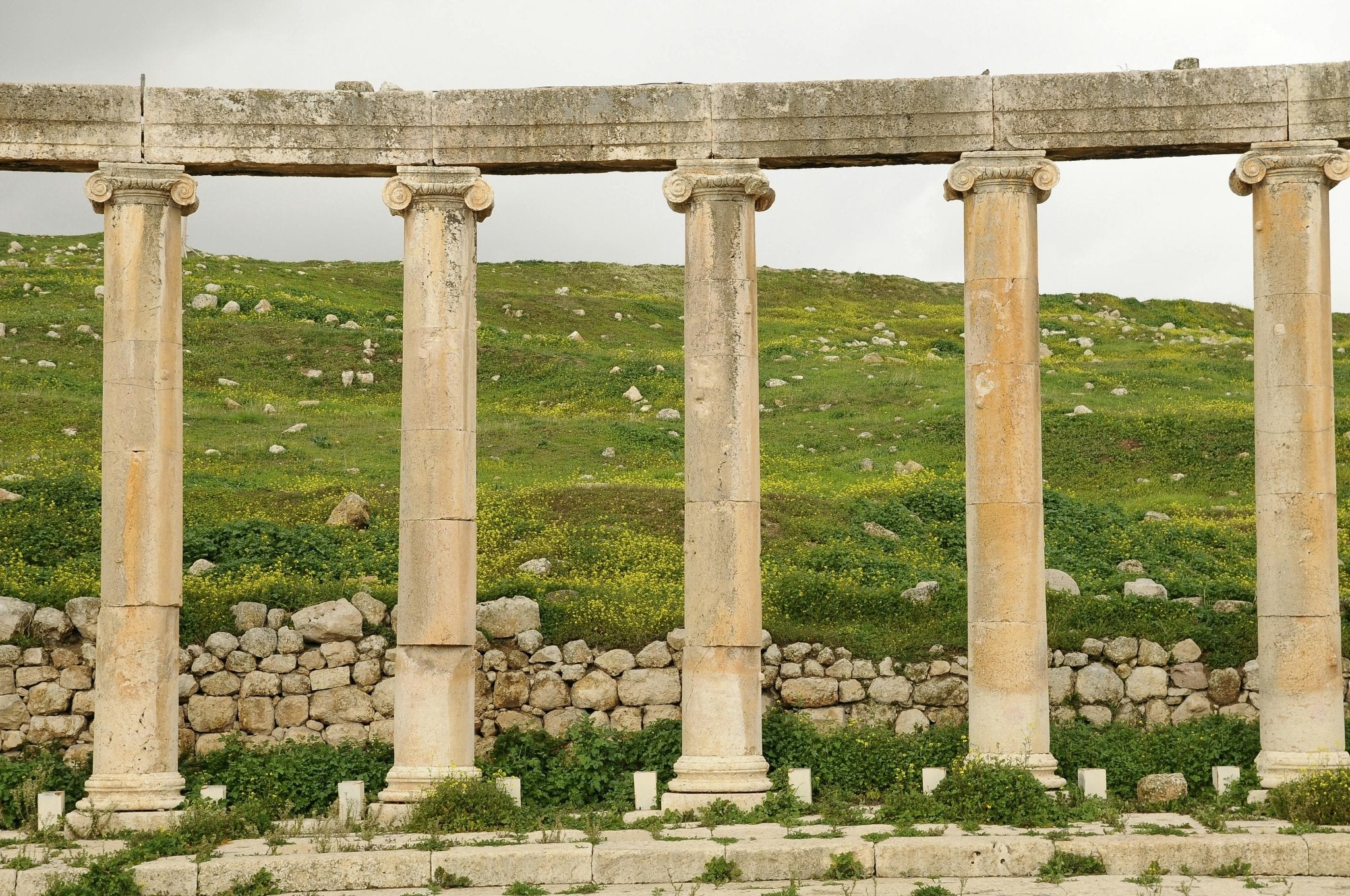 Amman: Private Half-Day Tour to the Ancient City of Jerash – Shouf